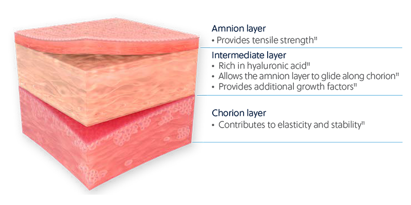 Biotivity A/C Plus Membrane | ZimVie Americas