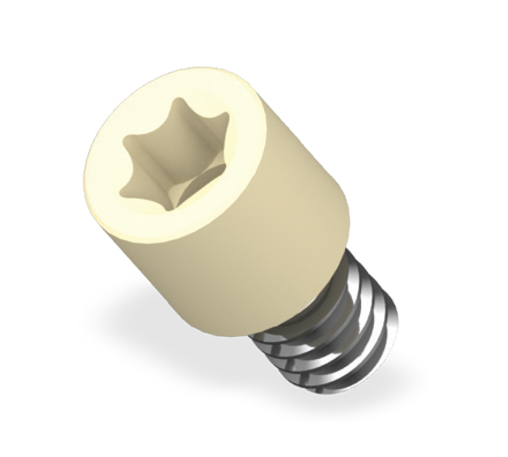 Smart Denture Conversions | ZimVie